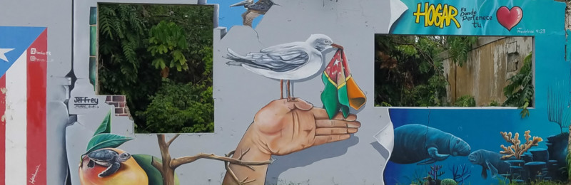 9 Places You Can't Leave Rincon Before Checking Out - Part 2 : Luggage ...